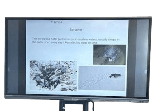 Project-Based Learning for Gifted and Talented Students – Enhancing ...